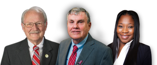 Cohesive Government | Development Authority of Houston County